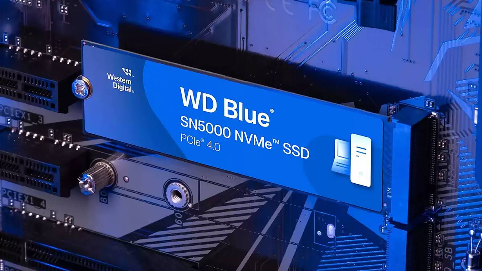 WD's Latest NVMe SSD Is Primed for Next-Gen Creative Work