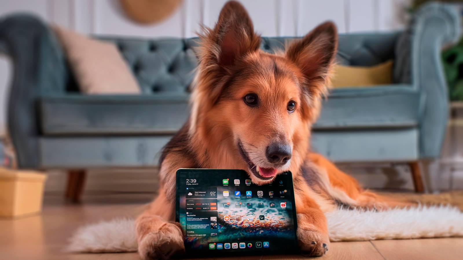 I Still Can’t Trust Smart Pet Tech