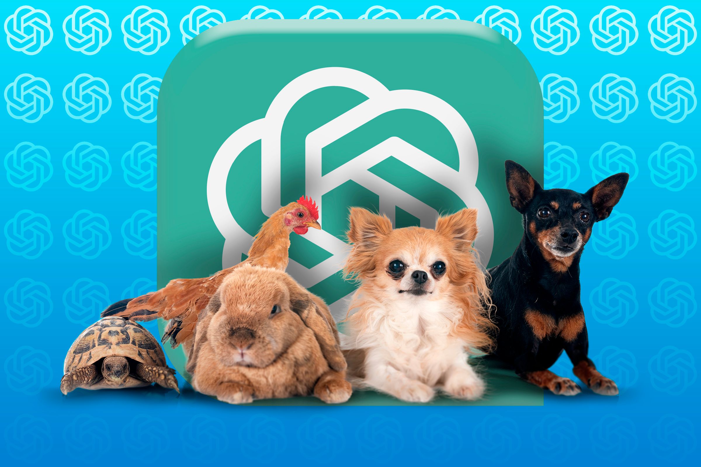 I Let ChatGPT Choose Our New Household Pet and Here’s How It Went