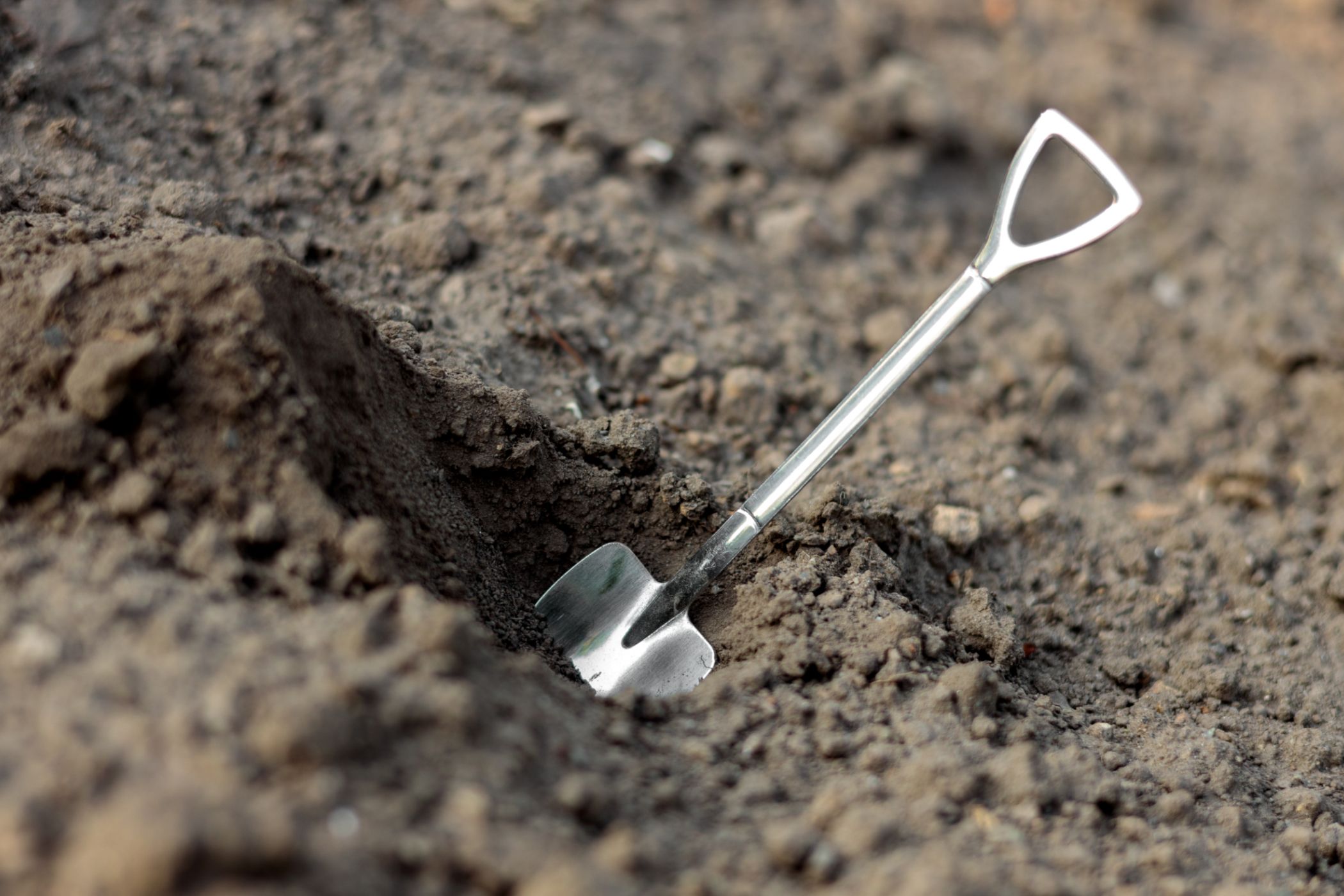 What Is "Shovelware" and How Do You Spot It?