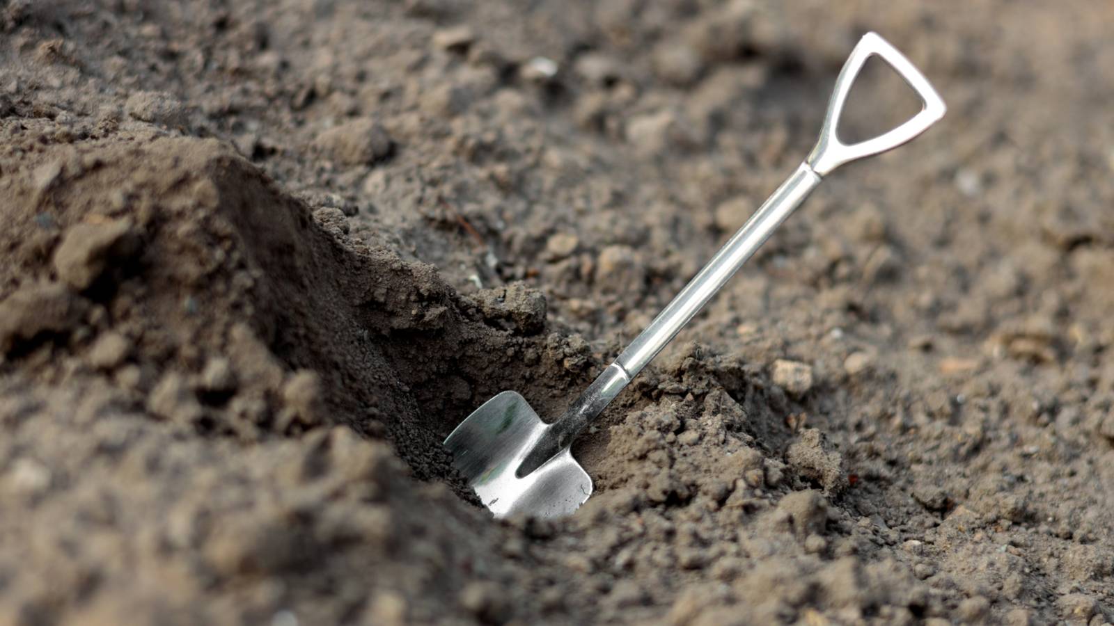 What Is "Shovelware" and How Do You Spot It?