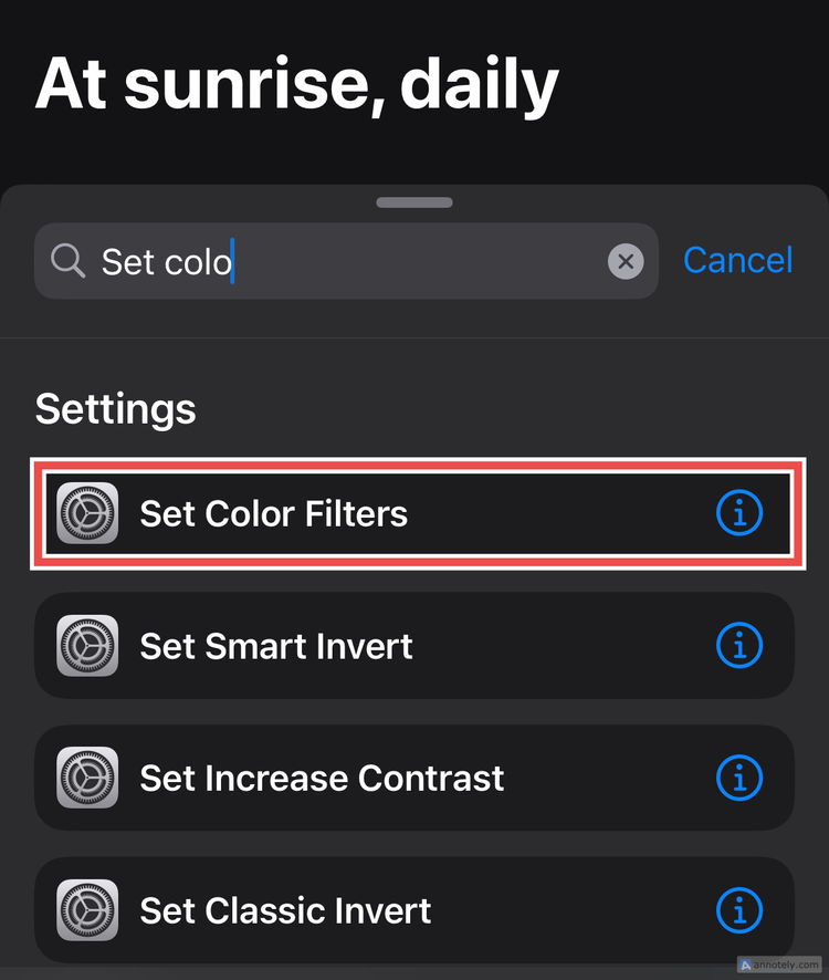 I Tried My iPhone's Color Filters, Here Are My Favorites