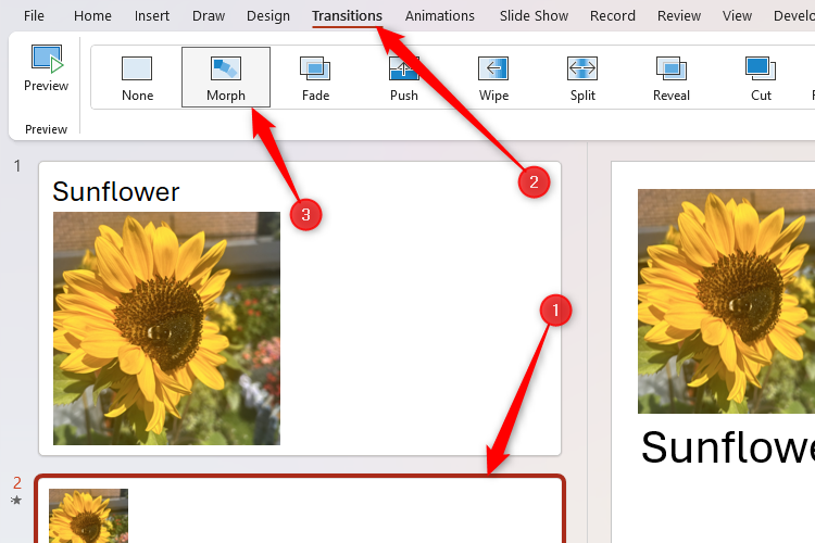 Everything You Need to Know About Animations and Transitions in PowerPoint