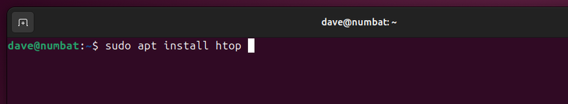How to Use the htop Command on Linux