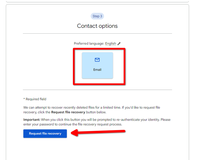 How To Recover Deleted Files in Google Drive