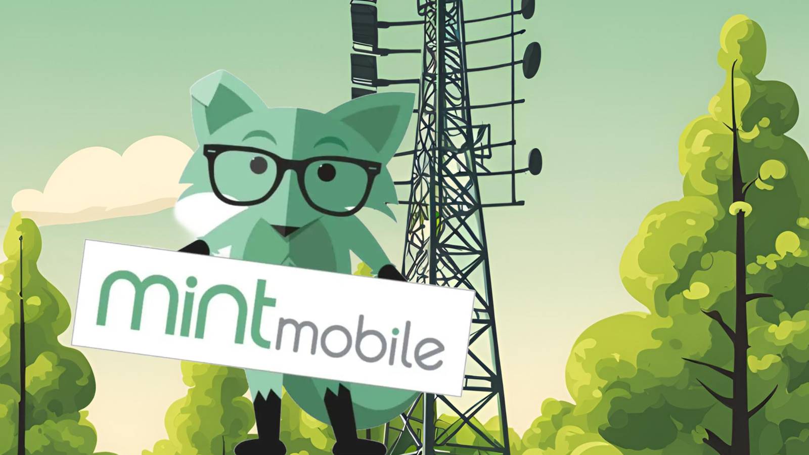 What Network Does Mint Mobile Use?