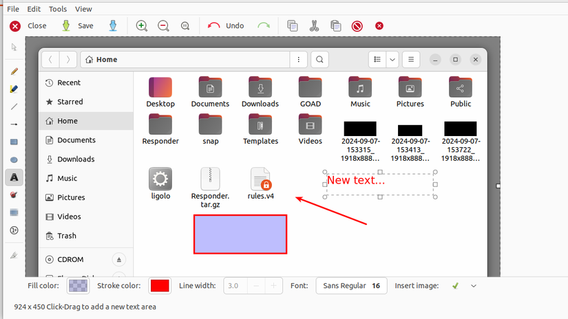 How to Take Screenshots in Ubuntu: Every Method You Need to Know