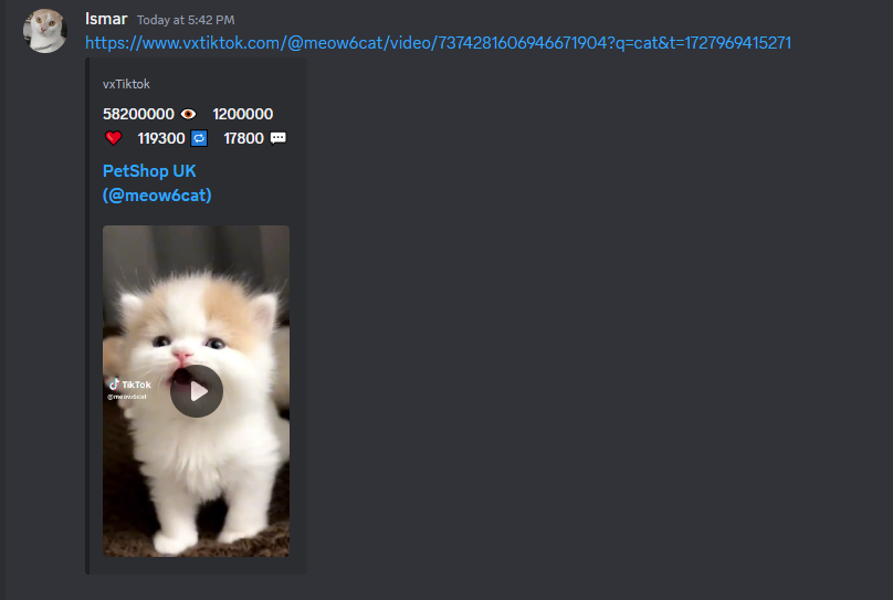Embedding TikToks, Reels, & Twitter Videos on Discord: How to Do It Right