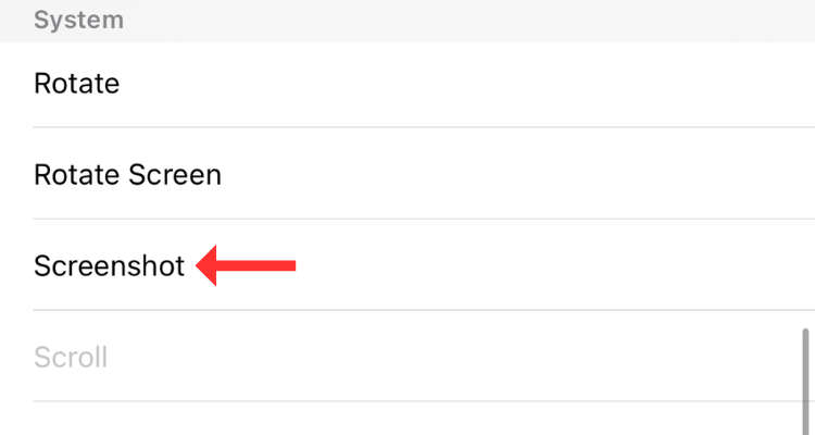 How to Screenshot on an iPhone 16 or iPhone 16 Pro