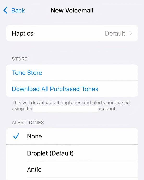 How to Set Up Voicemail on iPhone