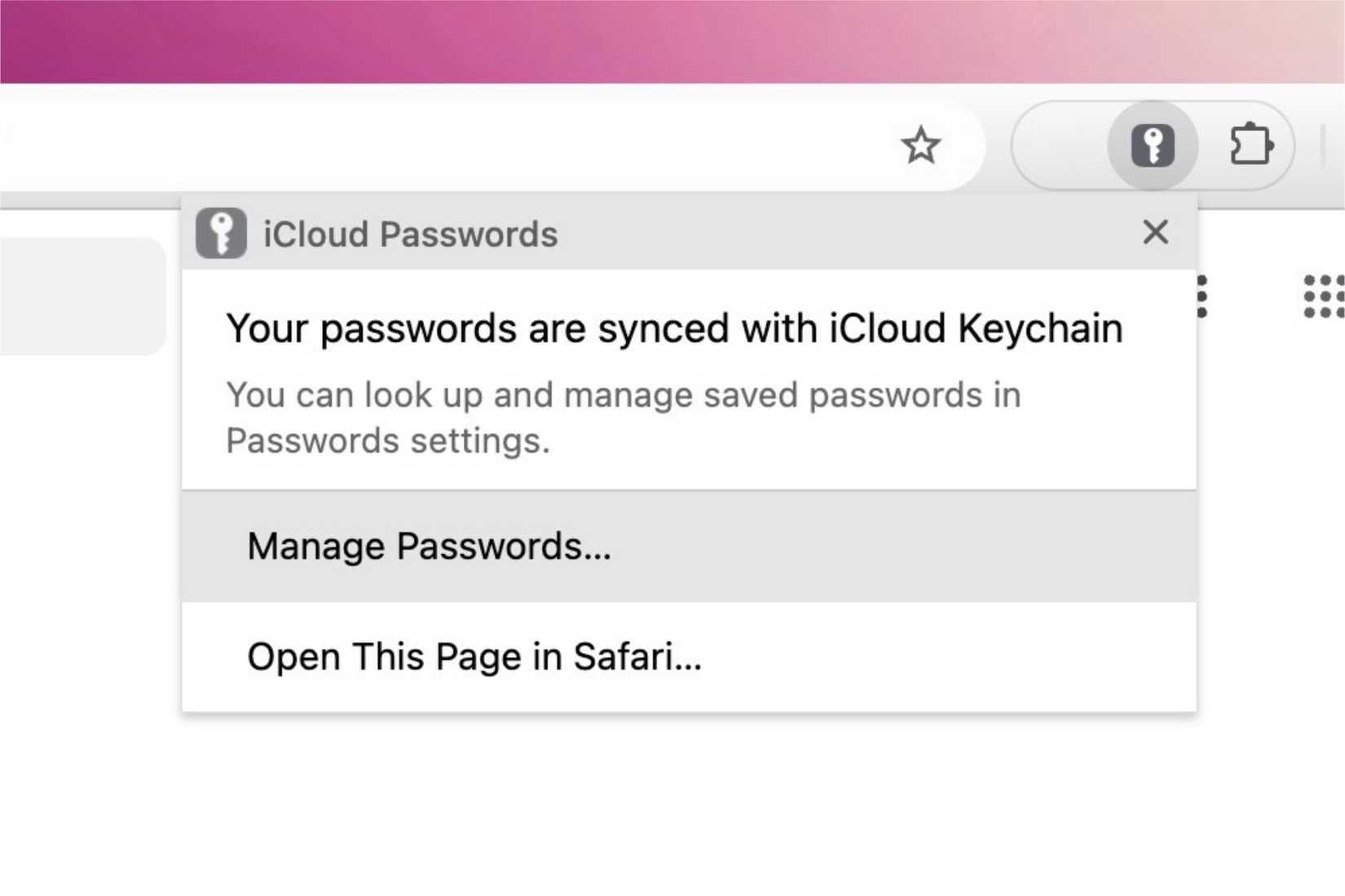 How to Access Your iCloud Passwords on Google Chrome