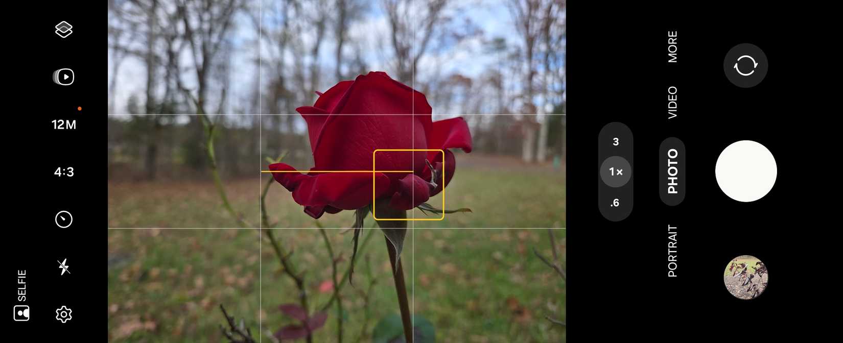 How to Get Blurry Backgrounds (Bokeh Effect) with Your Android Camera