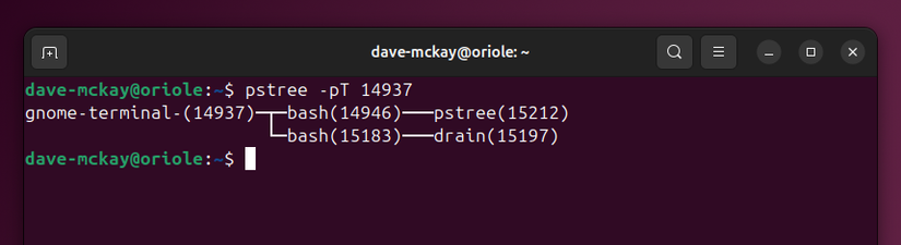 How to Manage Linux Processes Using ps, kill, and pkill