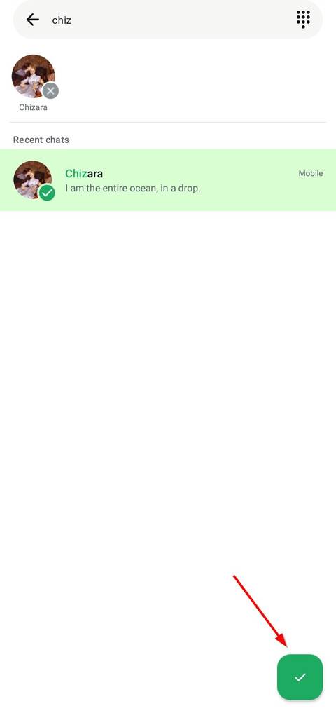 How to Mention People in Your WhatsApp Status