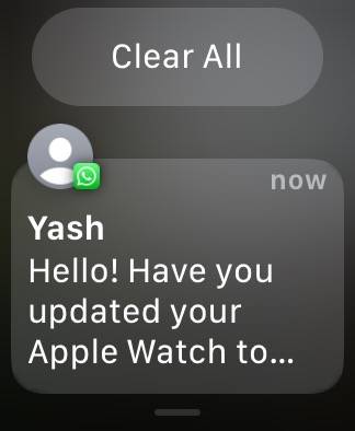 5 Hidden watchOS 11 Features You May Have Missed