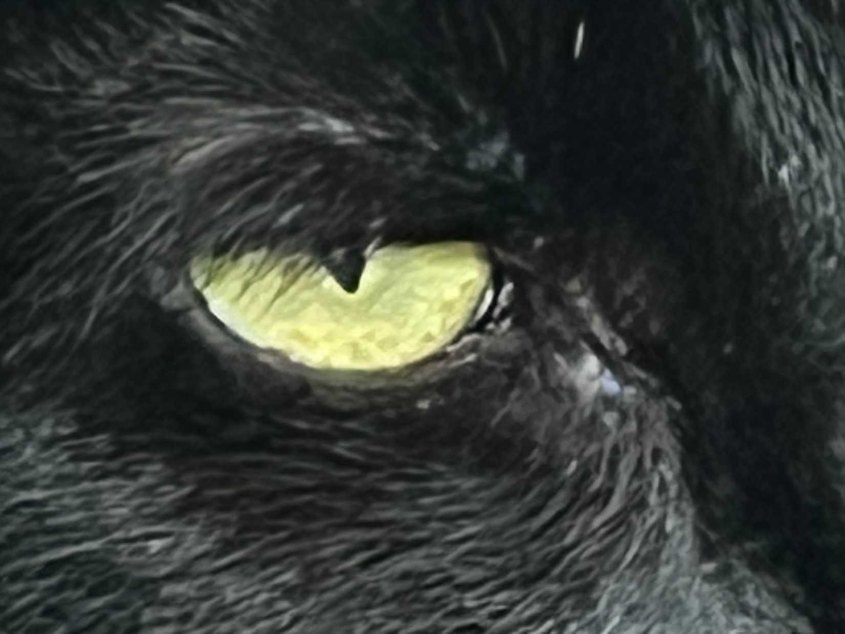 7 Common Mistakes That Make Your iPhone Photos Look Worse