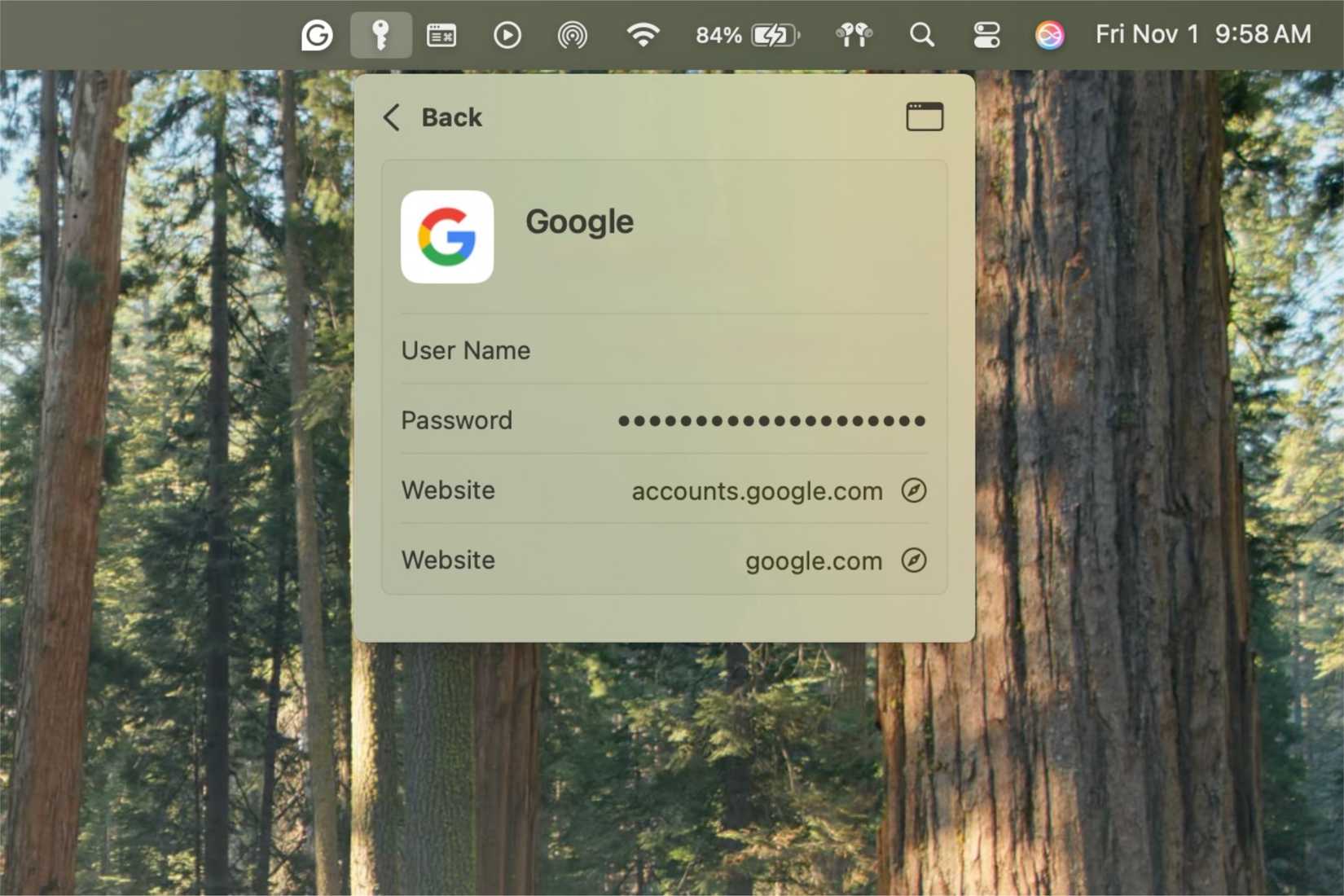 How to Pin the Passwords App to Your Mac’s Menu Bar