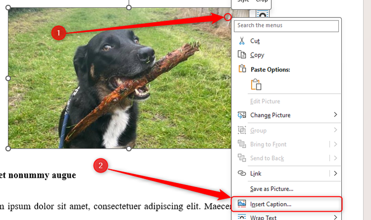 8 Must-Use Word Features for Academic Documents