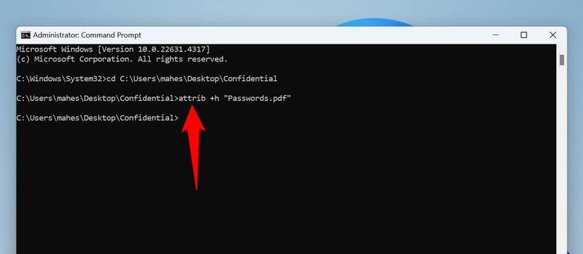 4 Ways to Hide Files and Folders on Windows 11