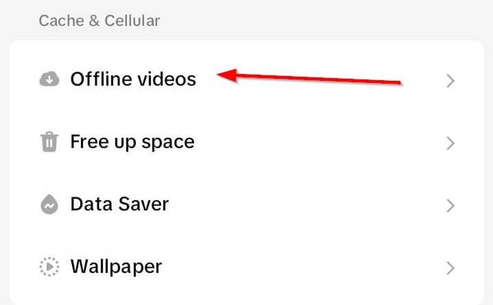 How to Download TikTok Videos for Offline Viewing
