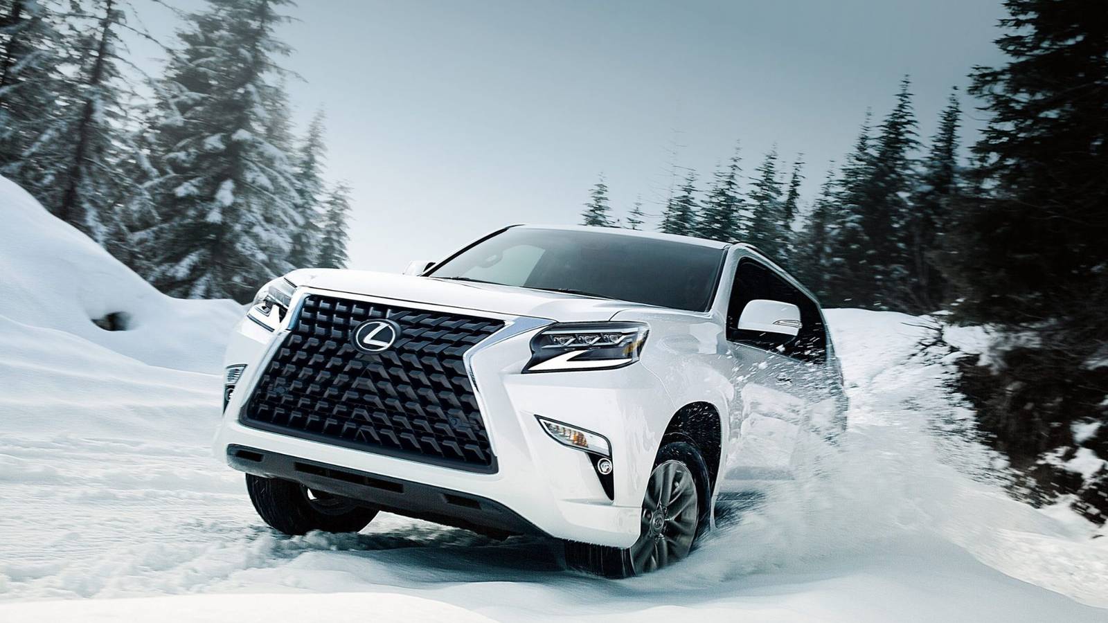 10 Lexus Models You Should Buy Used