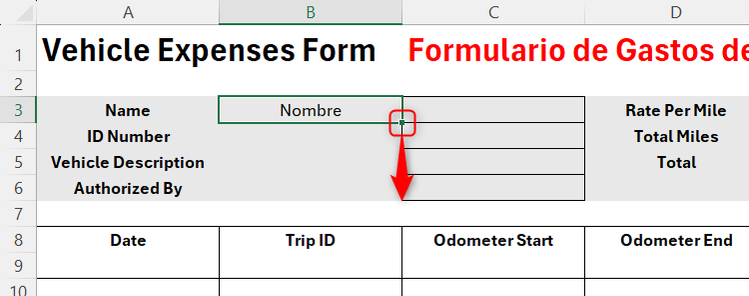 How to Use the TRANSLATE and DETECTLANGUAGE Functions in Excel