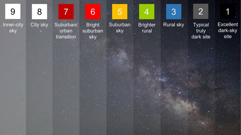 How You Can Still Stargaze Under Light Pollution