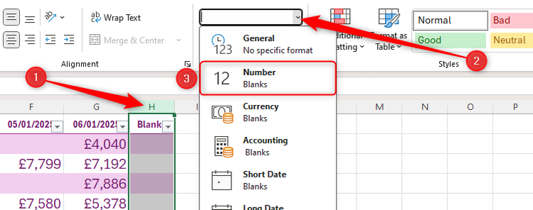 excel cell no format