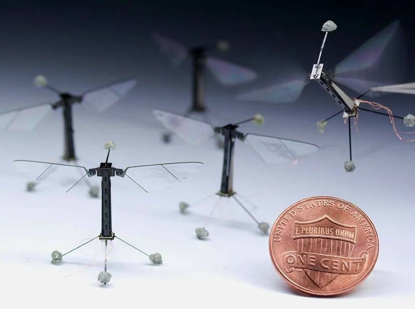 Get Ready for the Micro-robotic Revolution