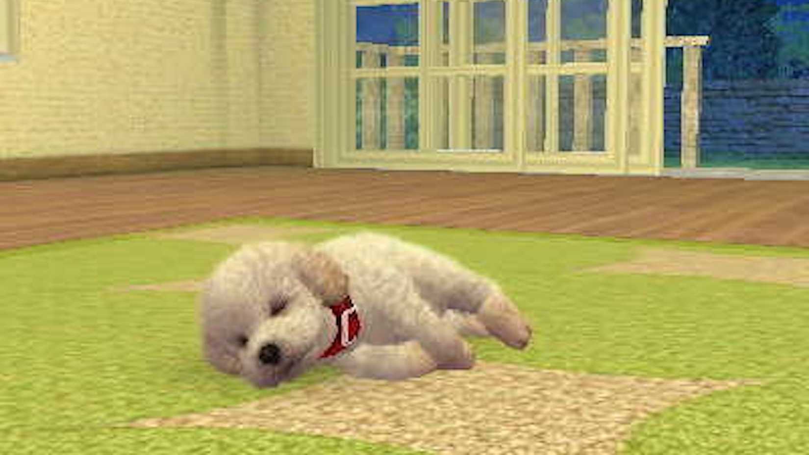 Lost Nintendogs: Will the Switch 2 Get Nintendo’s Virtual Pets?