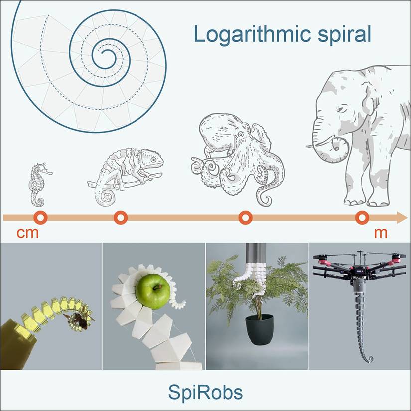 Robotic Octopus Arms are Sort of Creepy, But Super-effective