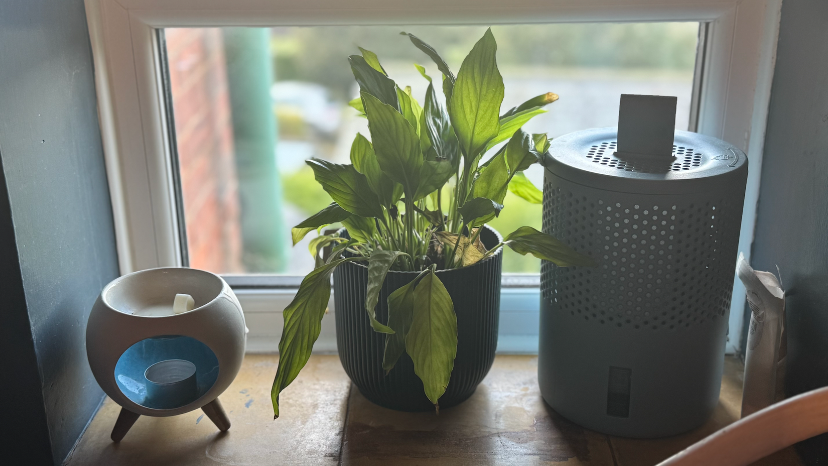 Tired of Killing Your Potted Plants? Here's How NFC Tags Can Help