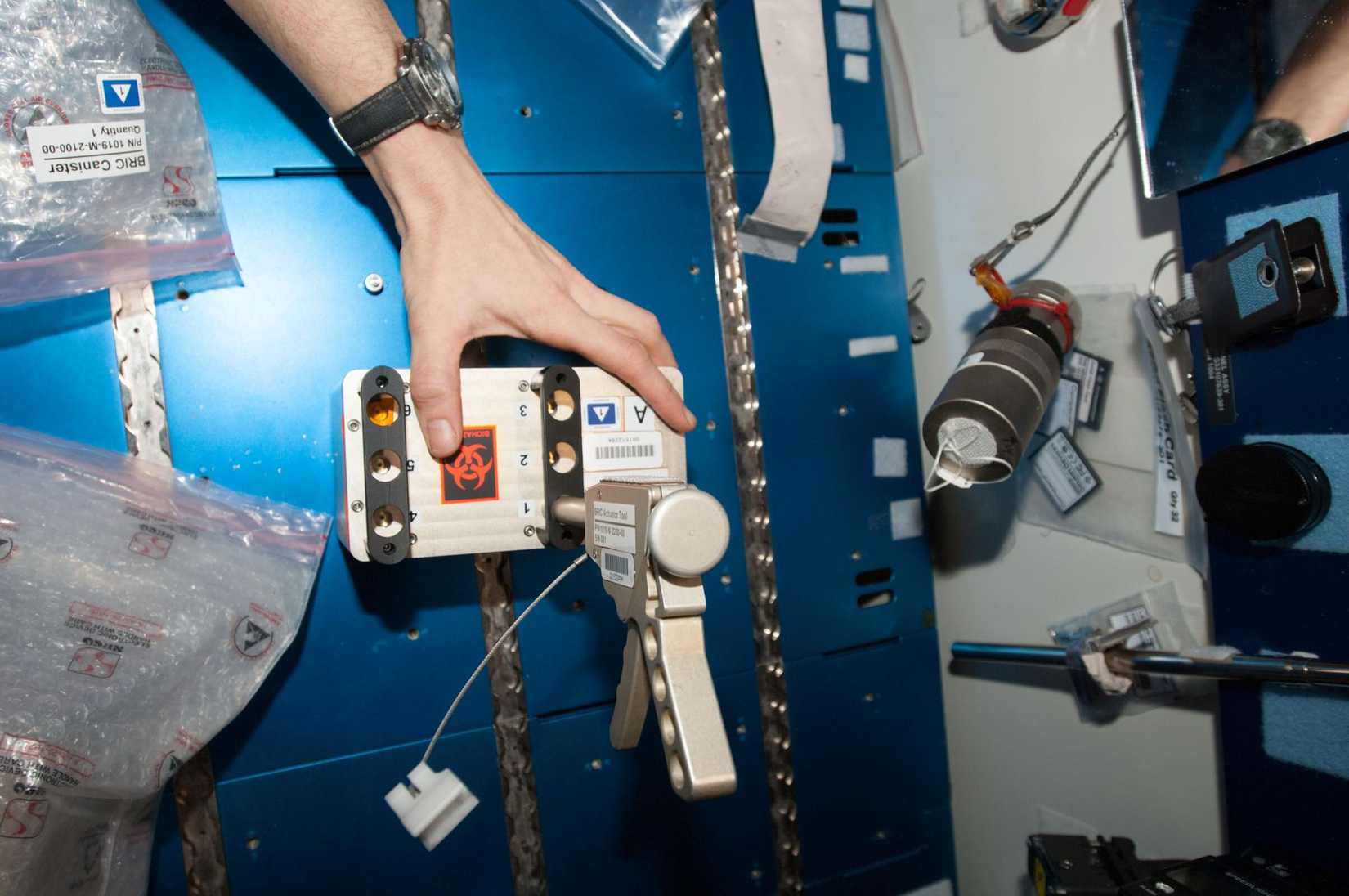 Even Astronauts Have to Eat Their Vegetables: How NASA Grows Plants in ...