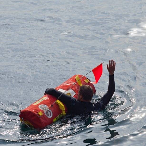 Meet the Robots That Could Save Your Life One Day