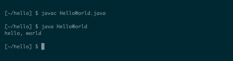 How ‘Hello World’ Became the Universal First Step for Programming