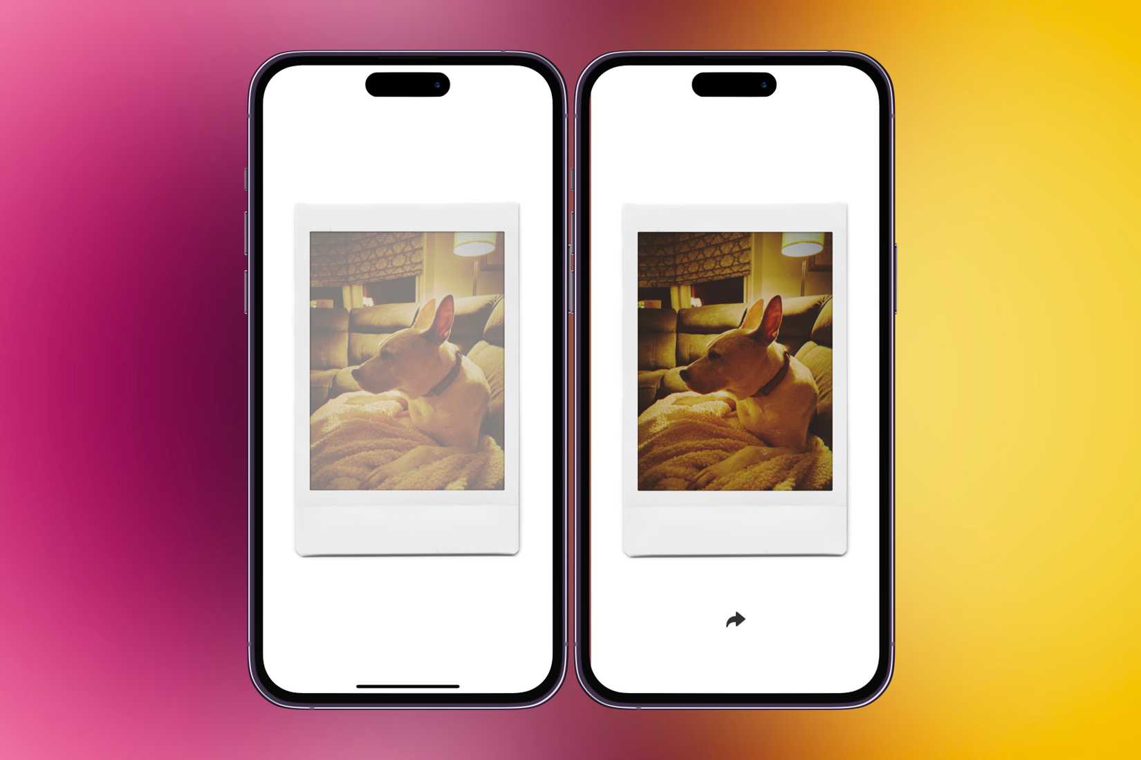 5 Weird iPhone Camera Apps You Need to Try