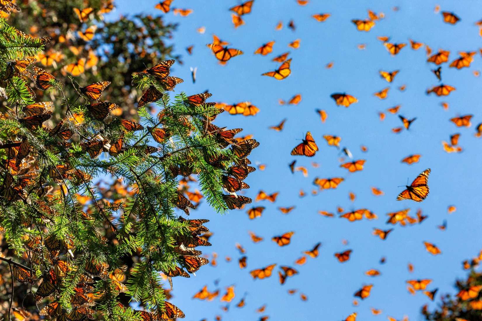 The Spring Equinox 2025: Everything You Need to Know