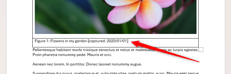 My Secret Method for Dealing With Pictures in Microsoft Word