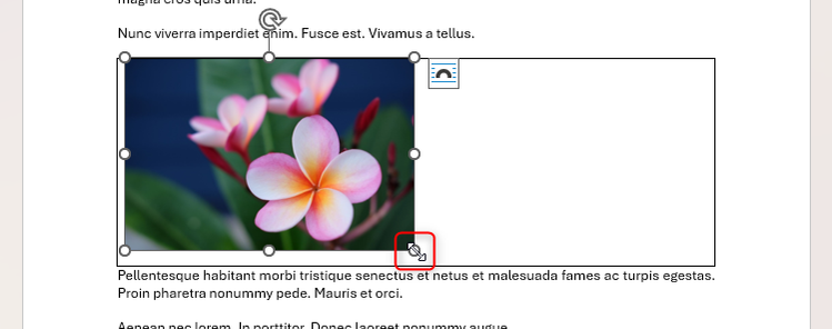 My Secret Method for Dealing With Pictures in Microsoft Word