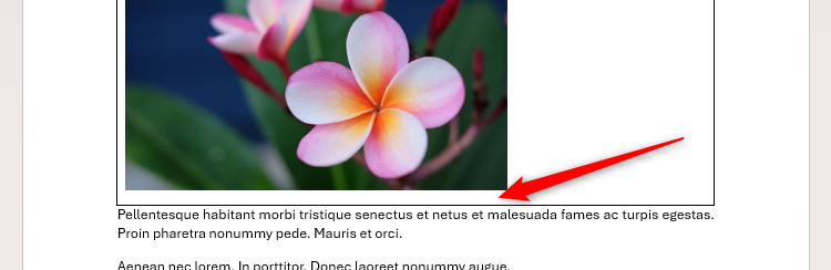 My Secret Method for Dealing With Pictures in Microsoft Word