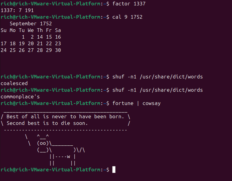 The Terminal Is the Last Place You Can Work In Peace. Here's How to Set ...