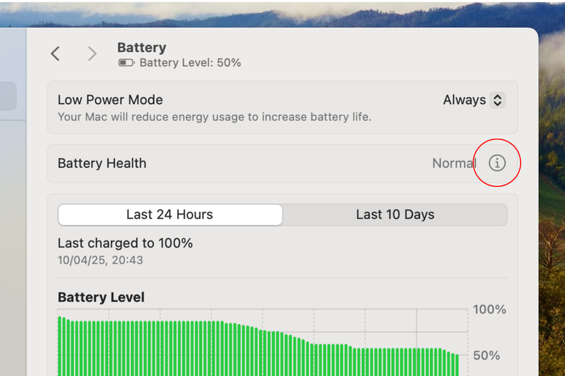 Mac Slowing Down? 10 Tweaks to Make It Faster