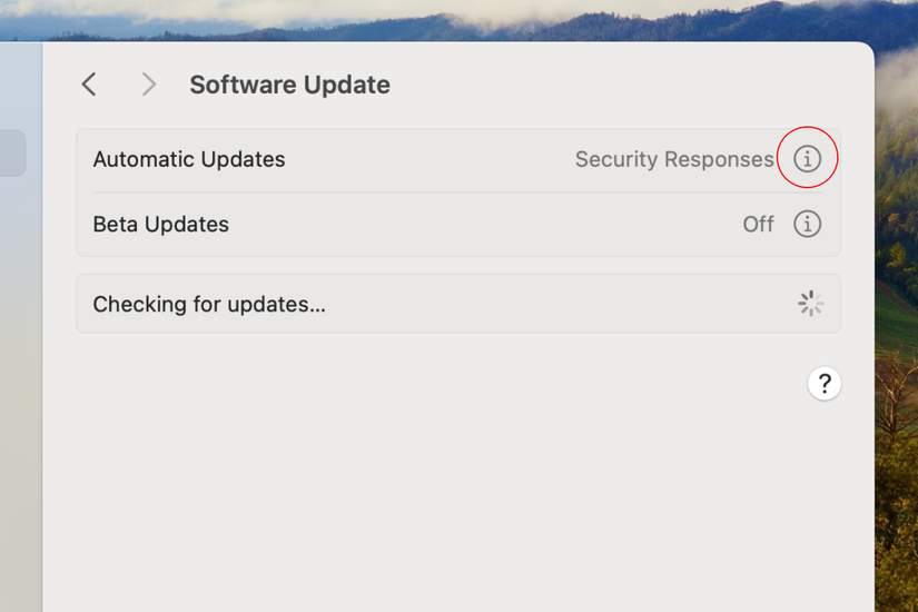 Mac Slowing Down? 10 Tweaks to Make It Faster