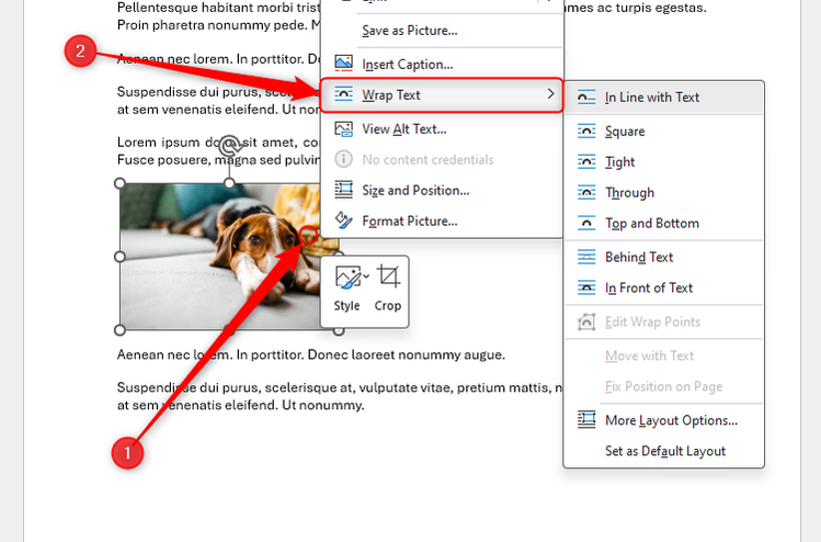 My Secret Method for Dealing With Pictures in Microsoft Word