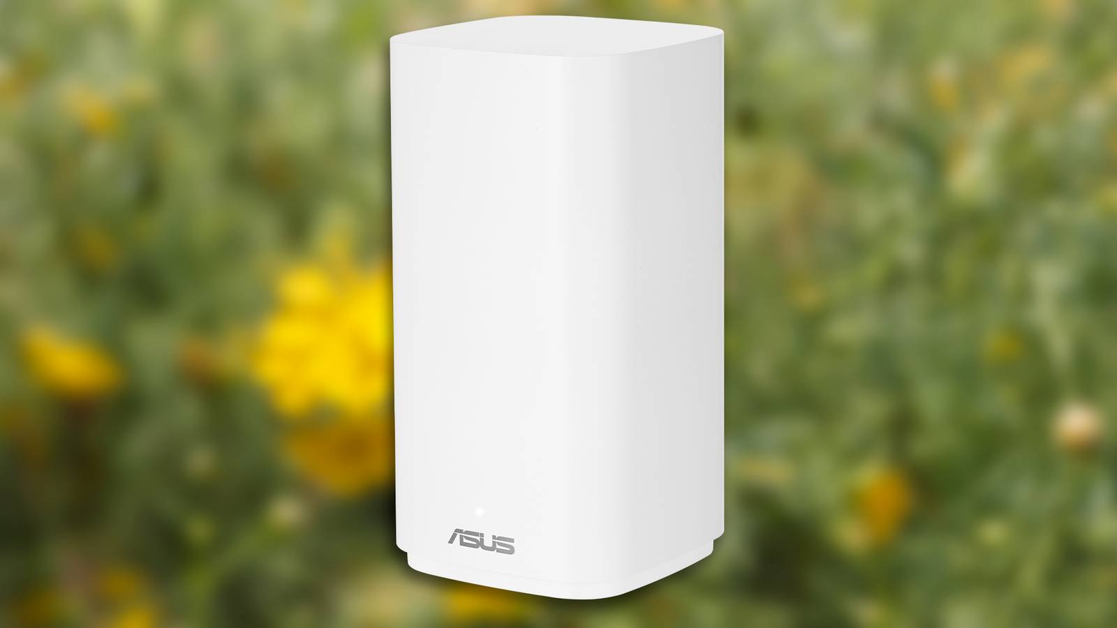 ASUS' New Outdoor Wi-Fi 7 Router Offers Everything but Tri-Band