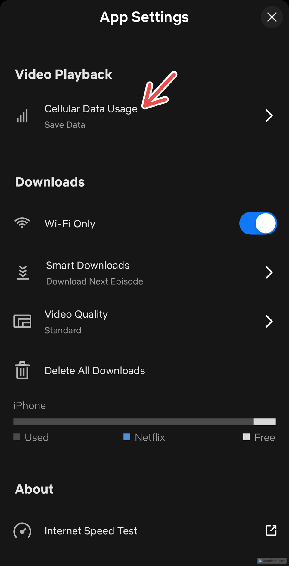 How to Make the Most of Netflix When Traveling