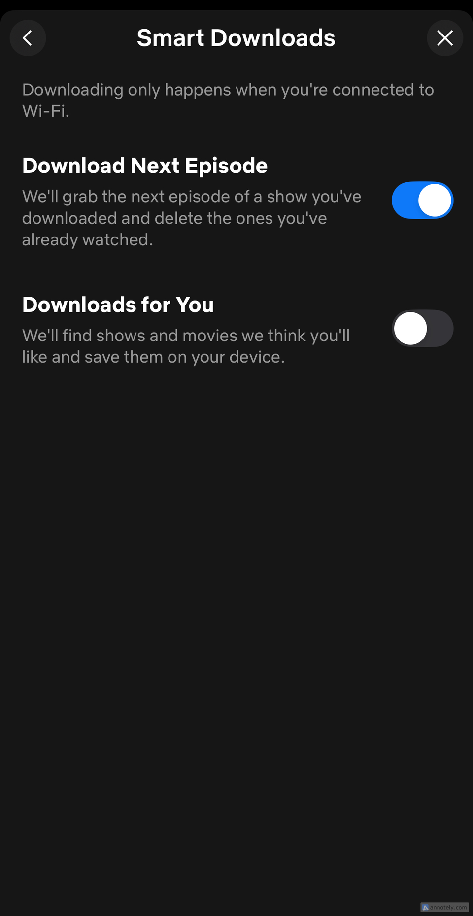 How to Make the Most of Netflix When Traveling