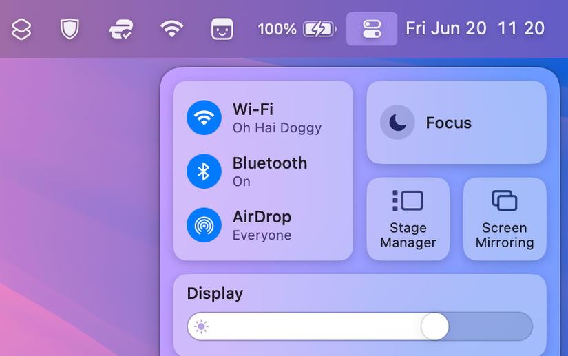 How to Avoid Disaster When a Cat Walks Across Your Keyboard