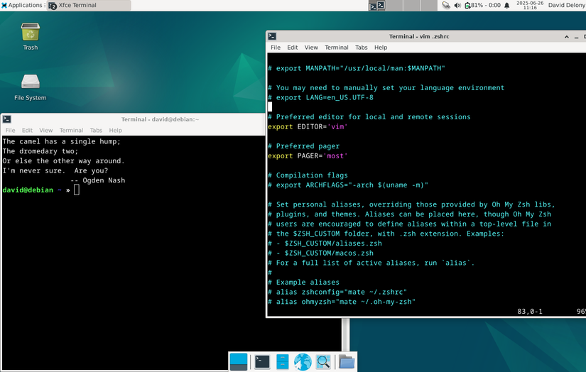 How I Use the Linux Terminal Without Destroying My OS
