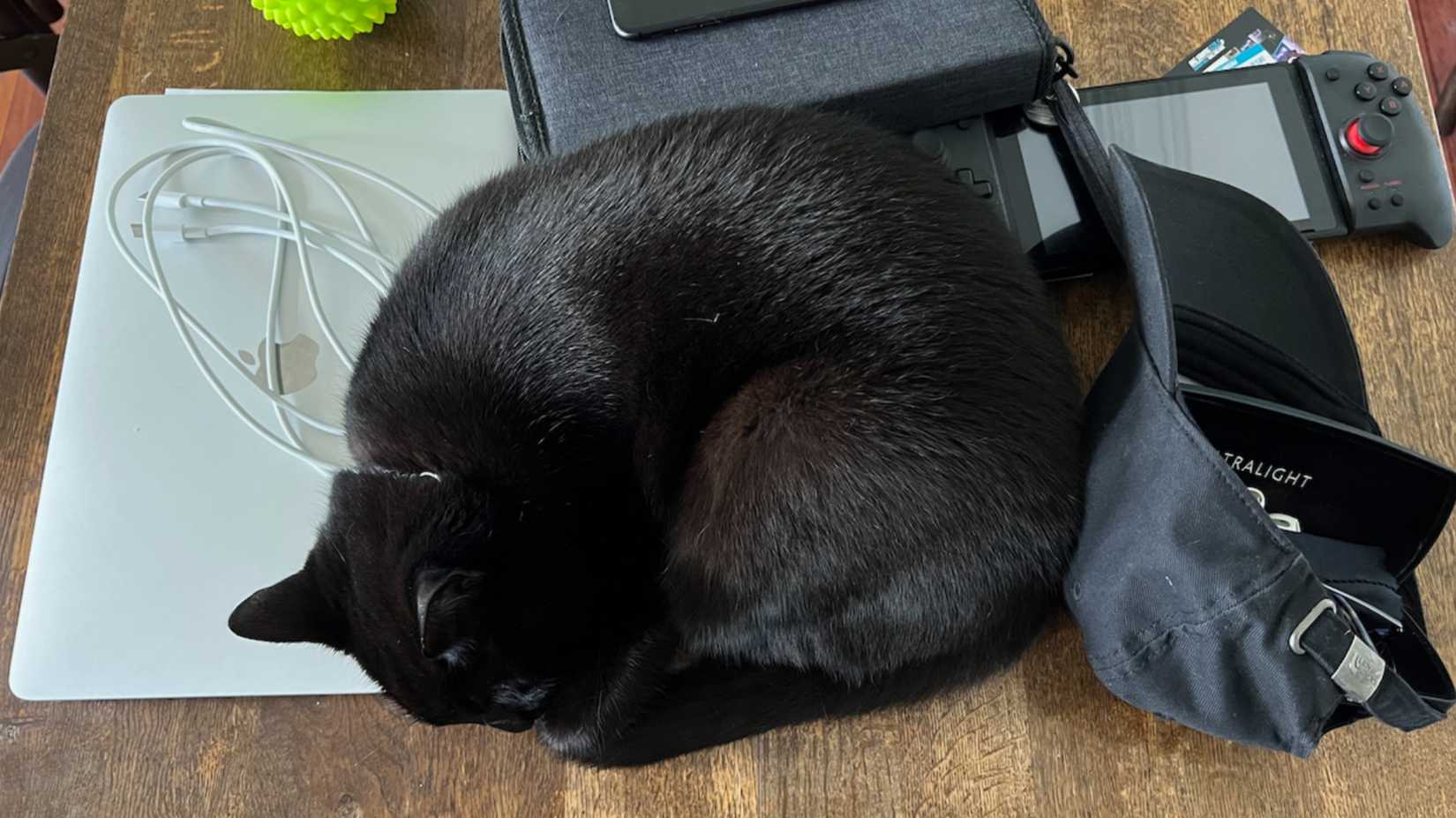 How to Avoid Disaster When a Cat Walks Across Your Keyboard